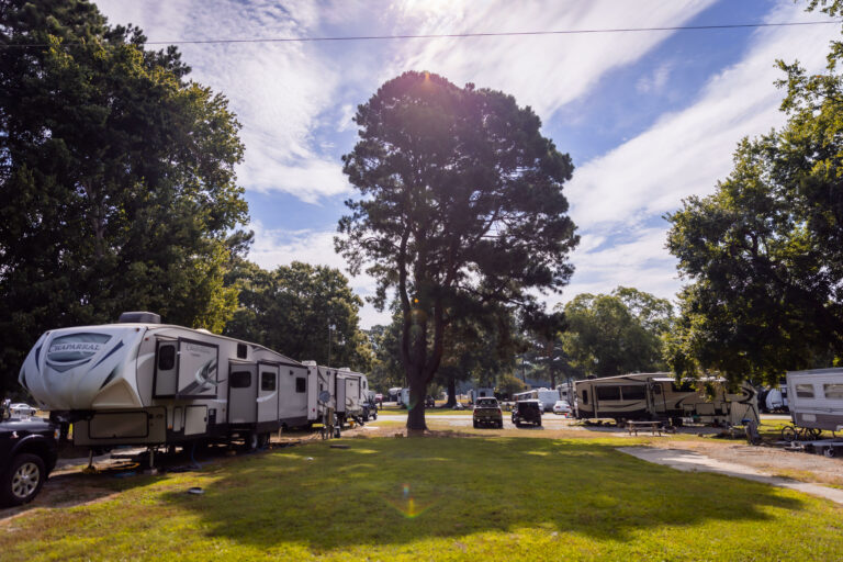 Stay at Triangle RV Park South - RV Sites in Garner, NC